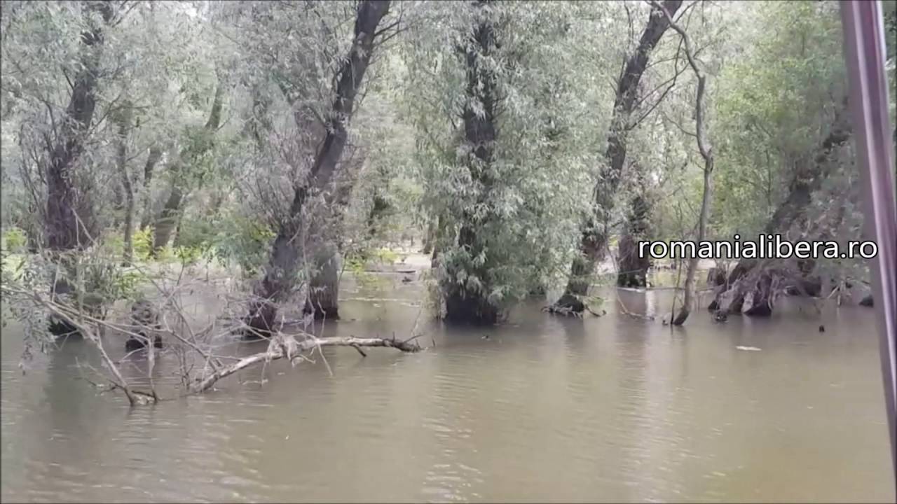 Plimbare cu vaporul in Delta Dunarii - YouTube
