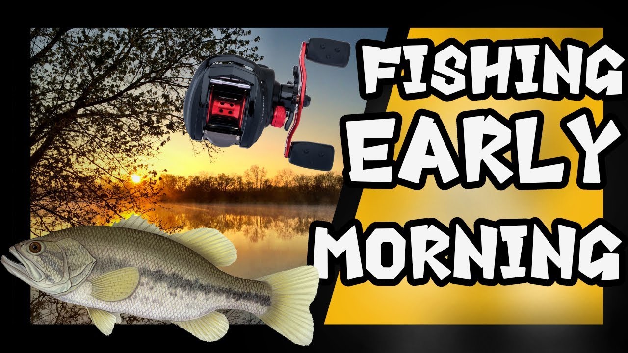 Catching Alot of Bass Early in The Morning - YouTube