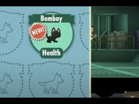 fallout shelter (laptop pets bombay cats abribus vault 545 step 24 ...