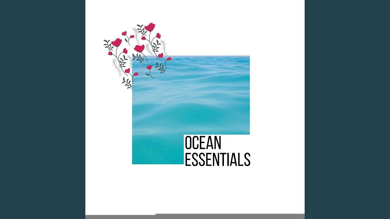 Ocean Essentials - YouTube