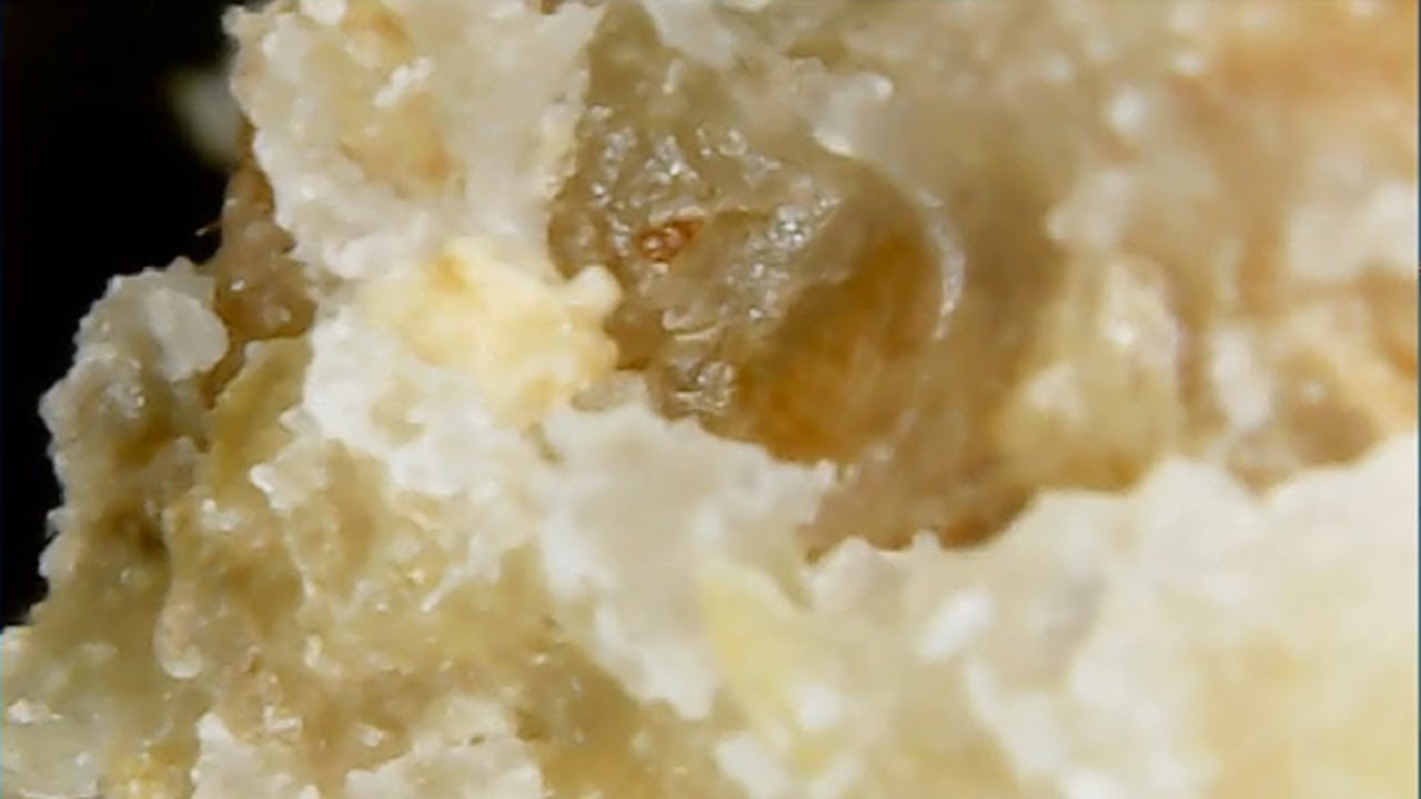 This Is Integral Bread Zoomed 500 Times?! (With A Microscope) - YouTube