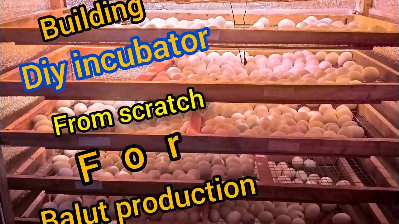 How to make DIY incubator - YouTube