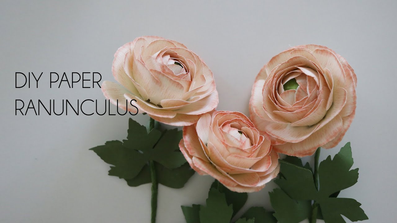 DIY Paper Ranunculus (How to make paper flower Cricut Maker) - YouTube