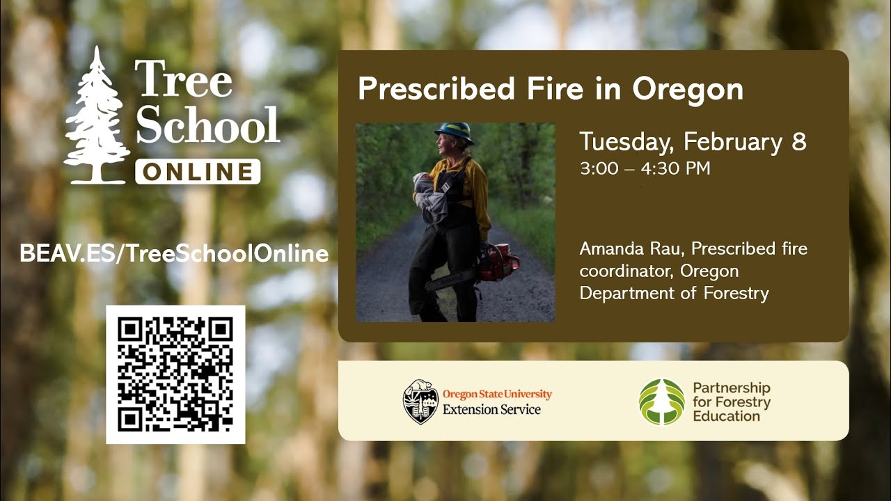 Tree School Online: Prescribed Fire in Oregon - YouTube