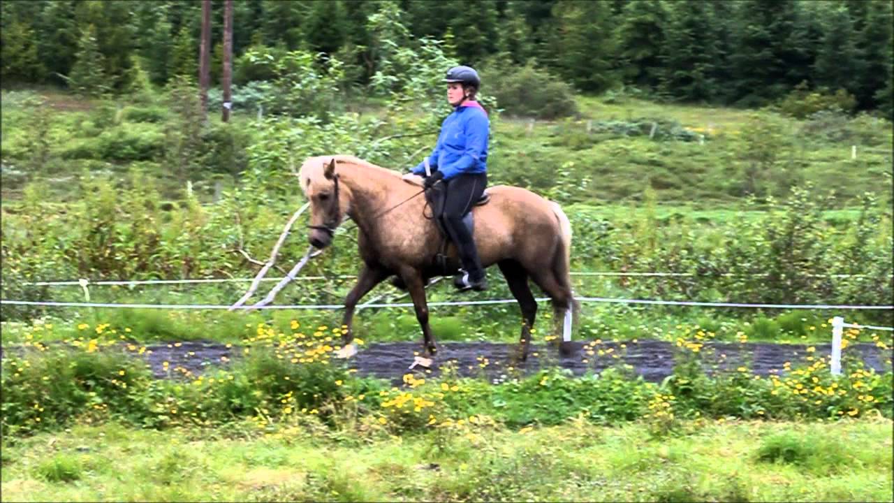 Lisa fra Ytri-Brenniholi 5.v - YouTube