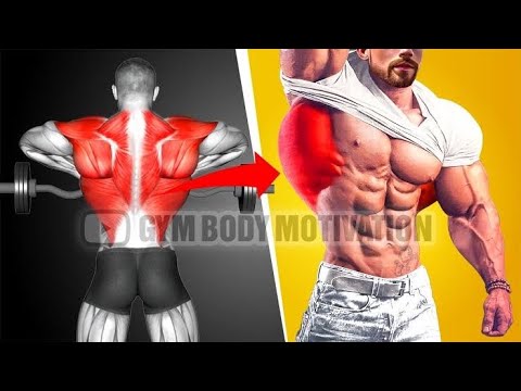 6 Best Back Workout At Gym || The PERFECT Science Based Back Workout ...