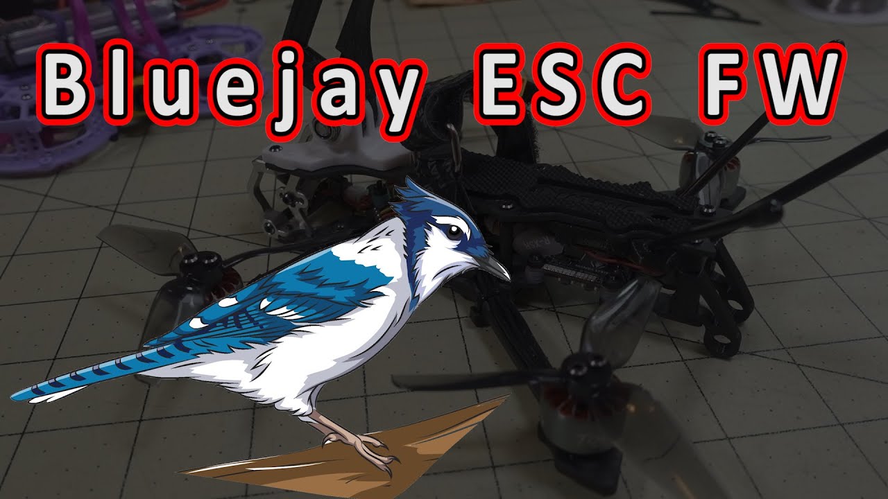 How to Flash Bluejay ESC Firmware + ESC 🎵 - YouTube