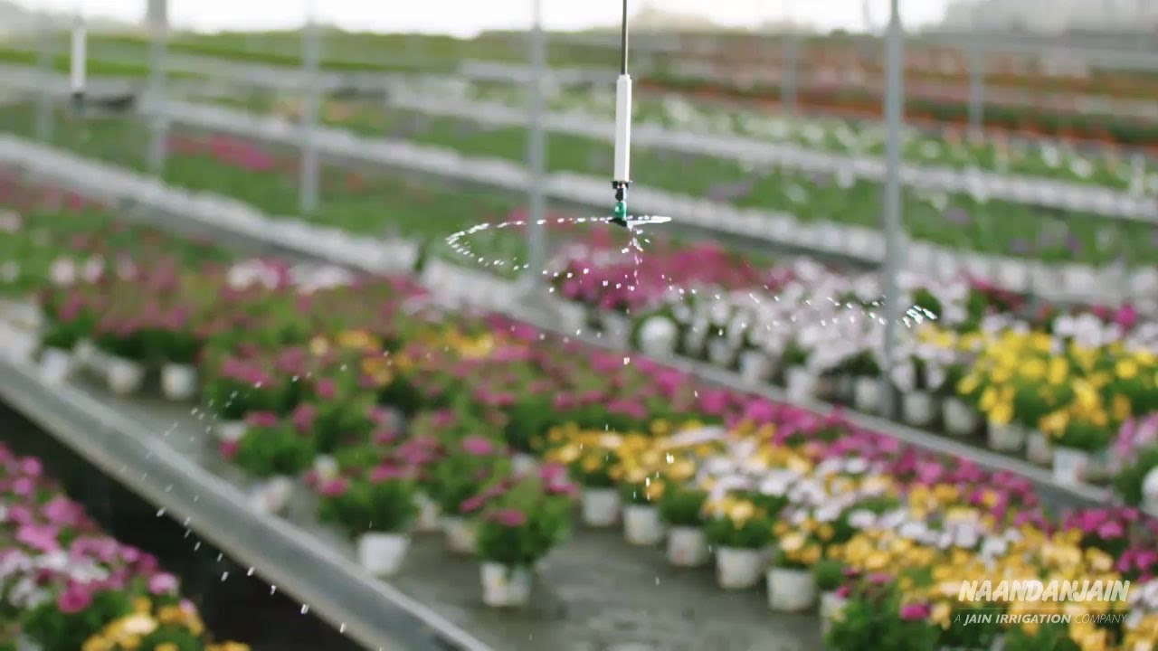 Novo Vídeo Institucional NaanDanJain: mais de 80 anos de Experiência em ...