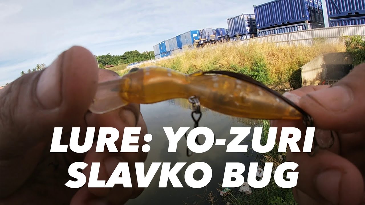 Memburu haruan dengan Yo-Zuri Slavko Bug / Ultralight fishing - YouTube