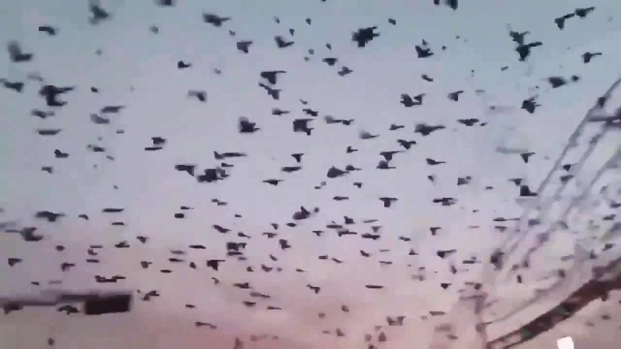 Itachi's Genjutsu in real life / you can't escape / - YouTube