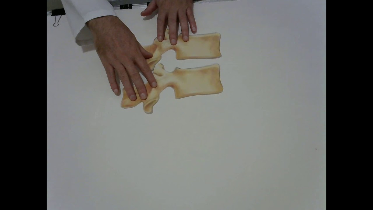 ABAULAMENTO DISCAL - YouTube