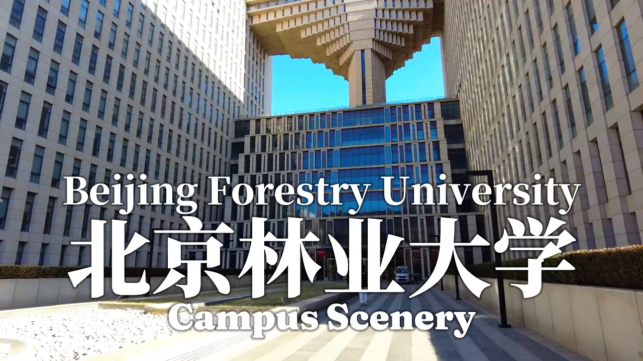 BEIJING FORESTRY UNIVERSITY 北京林业大学-Campus Scenery - YouTube