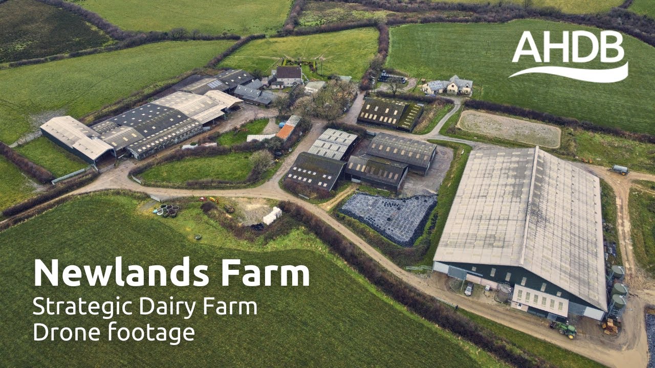 Drone Tour: Strategic Dairy Farm Newlands | AHDB - YouTube