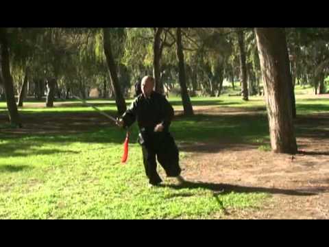 Tai Chi Sword (Tao Lu) [02] Shimon Levin - YouTube