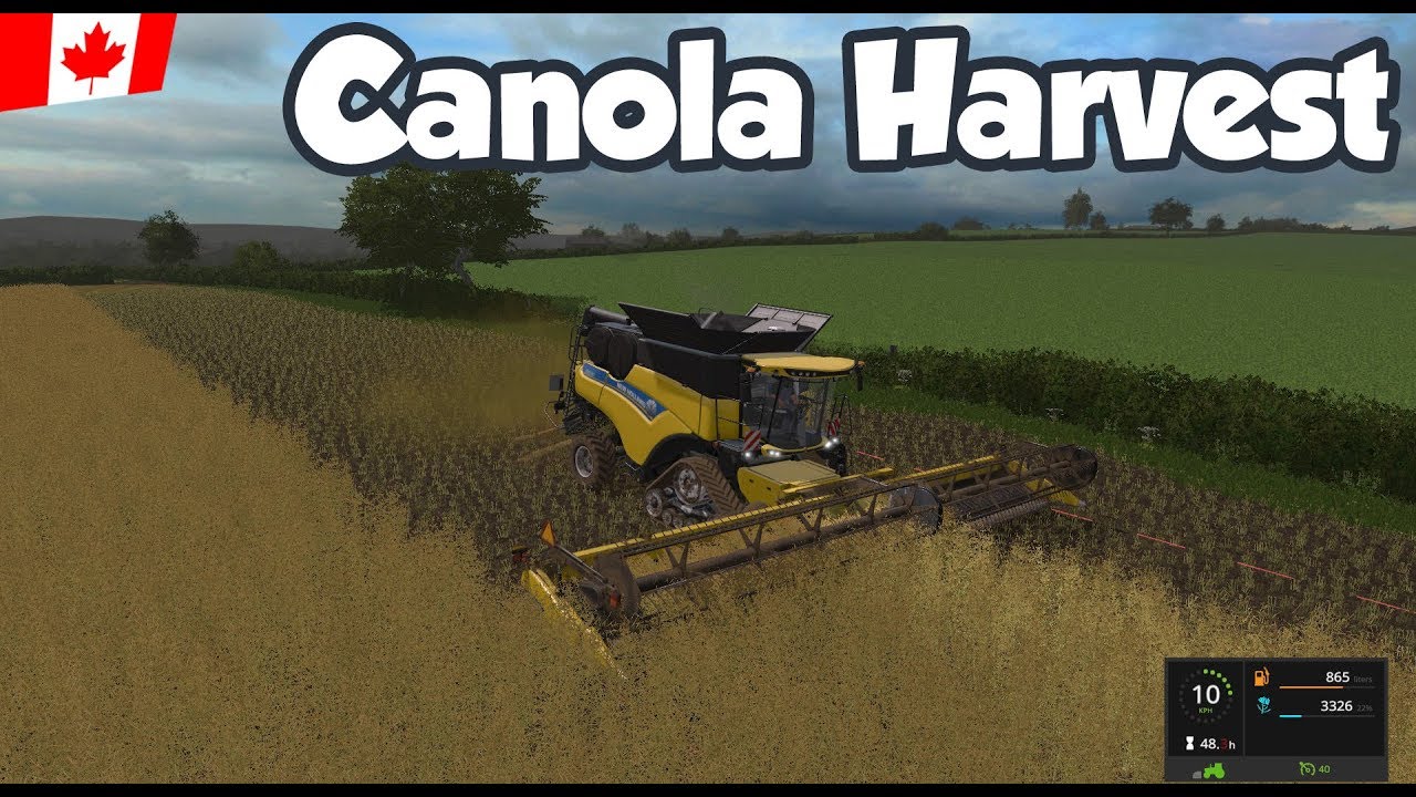 Canola Harvesting - Ep. 146 - Coldborough Park Farm - FS17 - YouTube