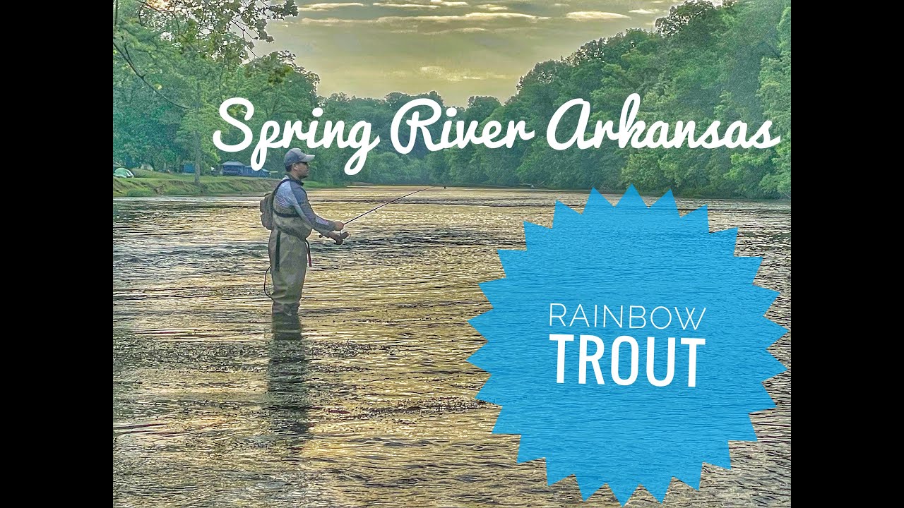 TROUT FISHING | Spring River | Arkansas : Day 2 - YouTube