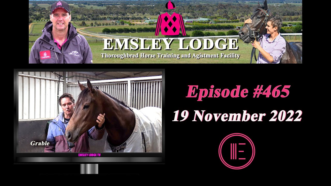 Nov 19 2022 - Emsley Lodge Report - YouTube
