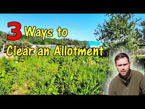 How To Clear An Overgrown Garden Bushes