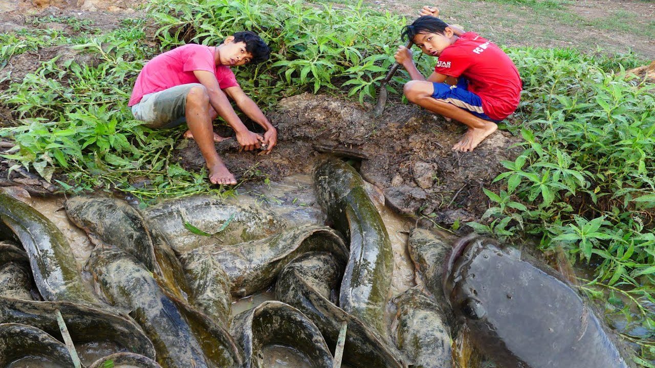 Survival Skills Find Catch Fish - All The Fishing Videos 2020 - YouTube