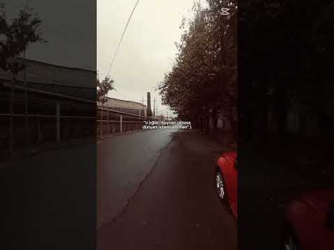 Watsapp ve instagram üçün videolar😶