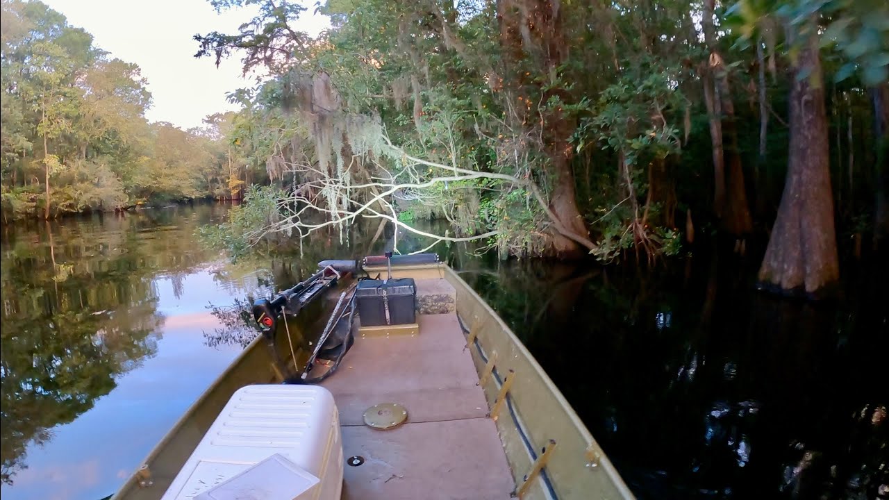 Bush Hooking Catfish on the Little Pee Dee River- Pitts Landing, South ...