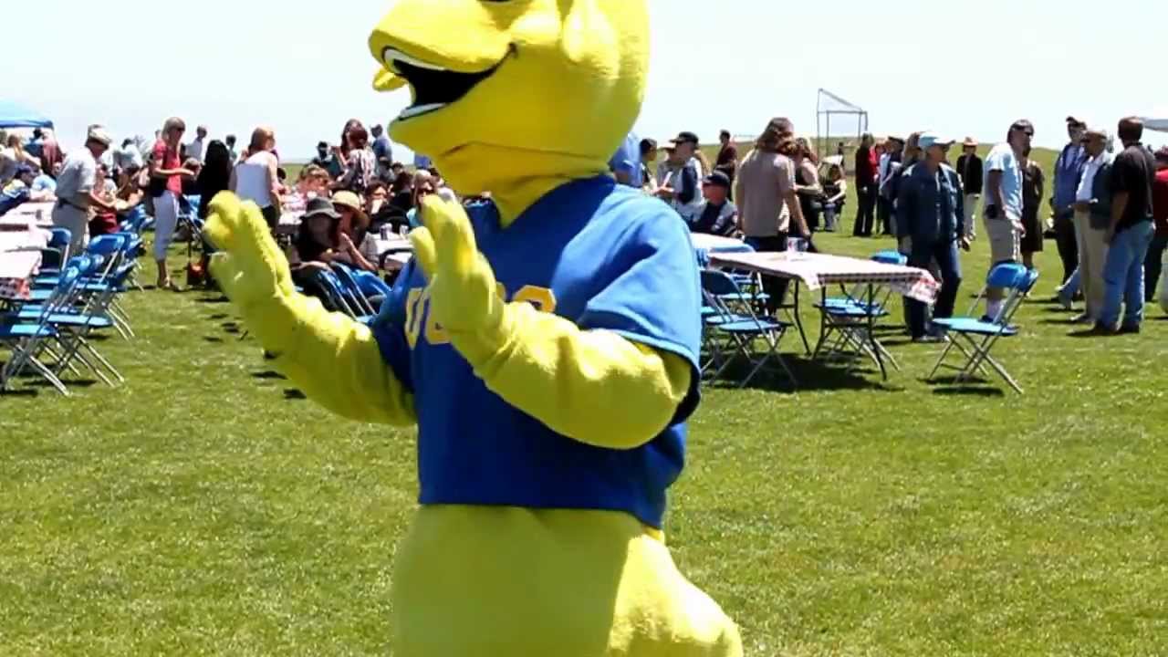 UCSC Sammy Slug Dancing 2012 - YouTube