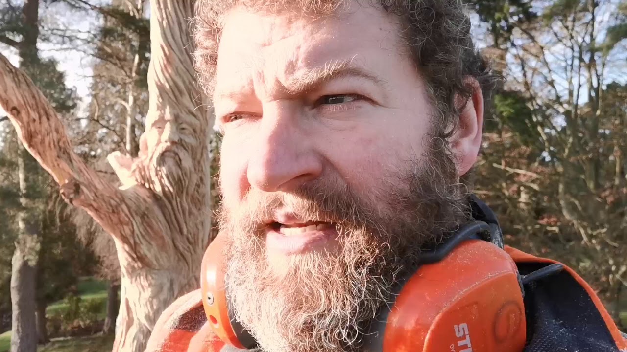 The Old Oak Father sculpture - the story behind my last carving of 2020 ...