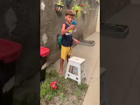 brincadeira de derrubar o objeto com a bola - YouTube