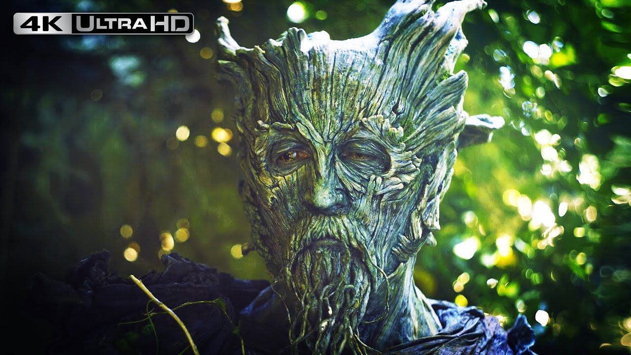 The Green Knight 4K HDR | End Scene - YouTube