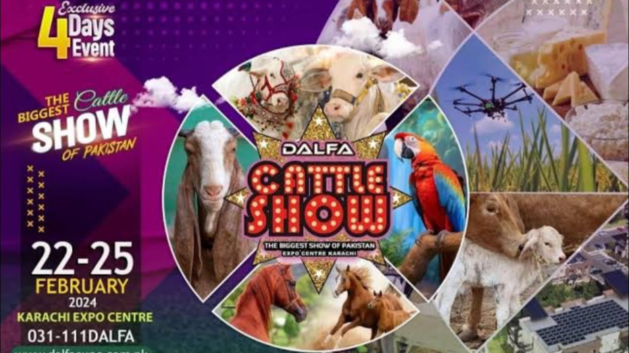 Pakistan Biggest Dalfa CattLe Show Season 3 Ho ChukA Alhamdulillah 2024 ...