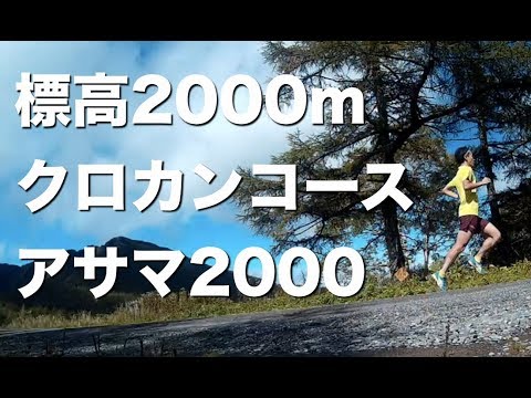 標高2000mのクロカンコース「アサマ2000」を走ってきた Cross-country running course with ...