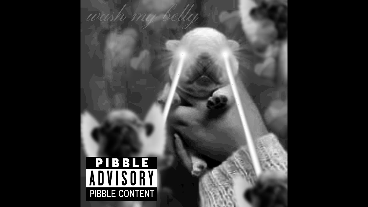 Pibblin' (a pibble song) - YouTube