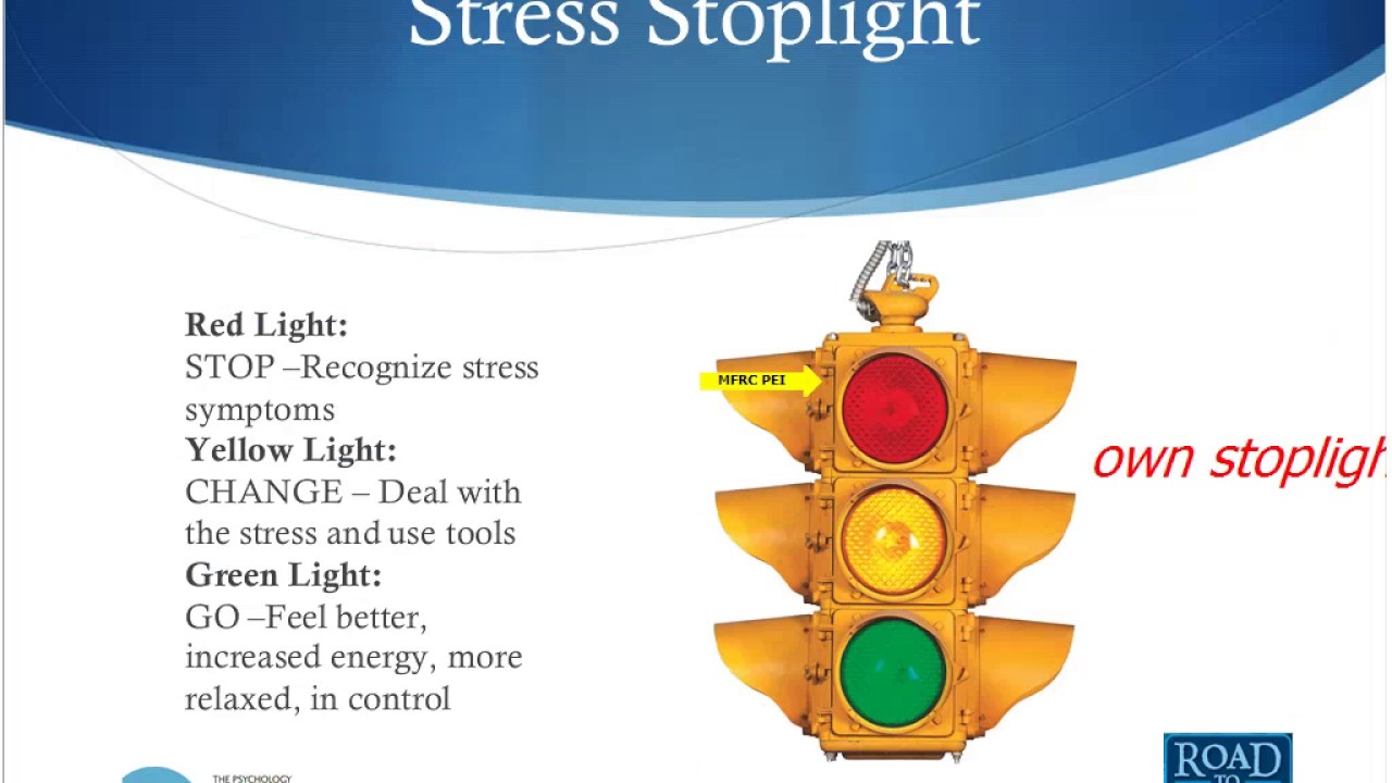 R2MR Reintegration - YouTube