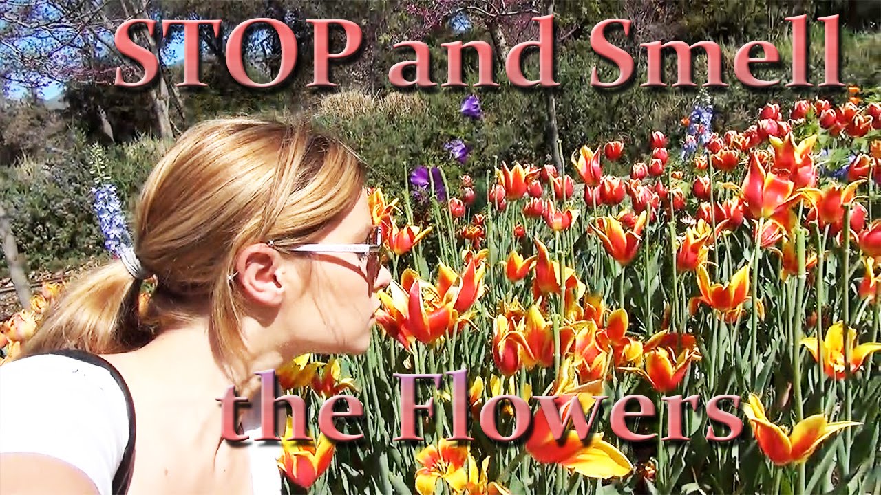 Stop And Smell The Flowers Youtube