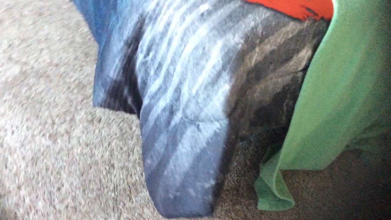 This is my room/first video - YouTube