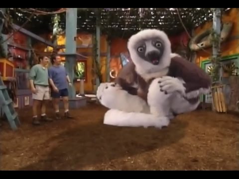 Zoboomafoo Cap. 56: \