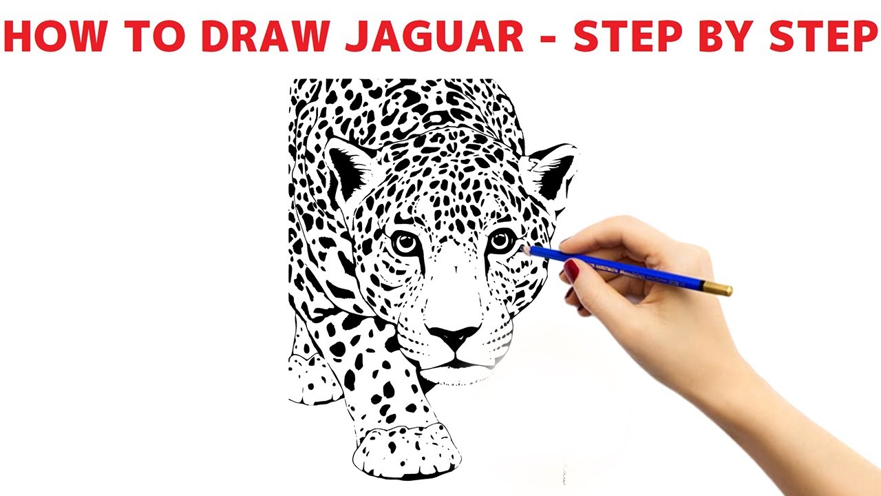 How to Draw Jaguar - Easy Step by Step | Mady Arts - YouTube