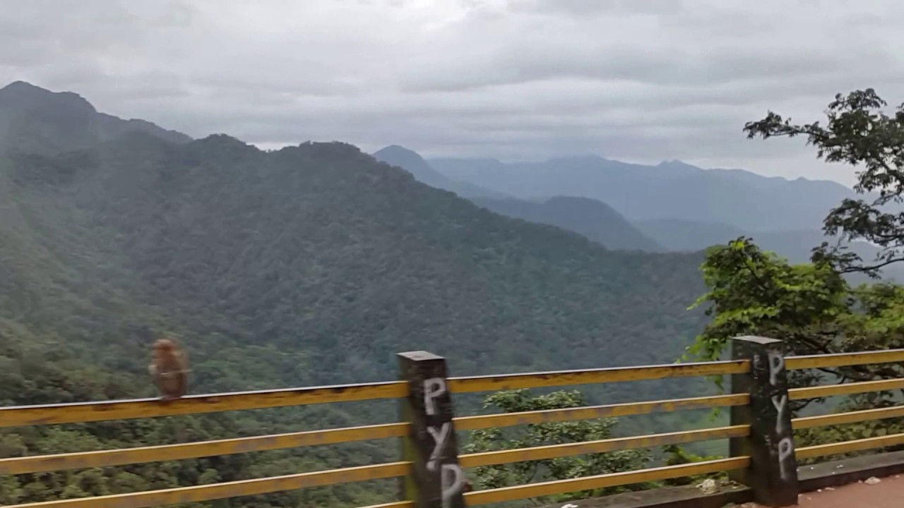 Wayanad Churam |Monsoon Beauty|Wayanad Road Drive-Excellent|Monkeys ...