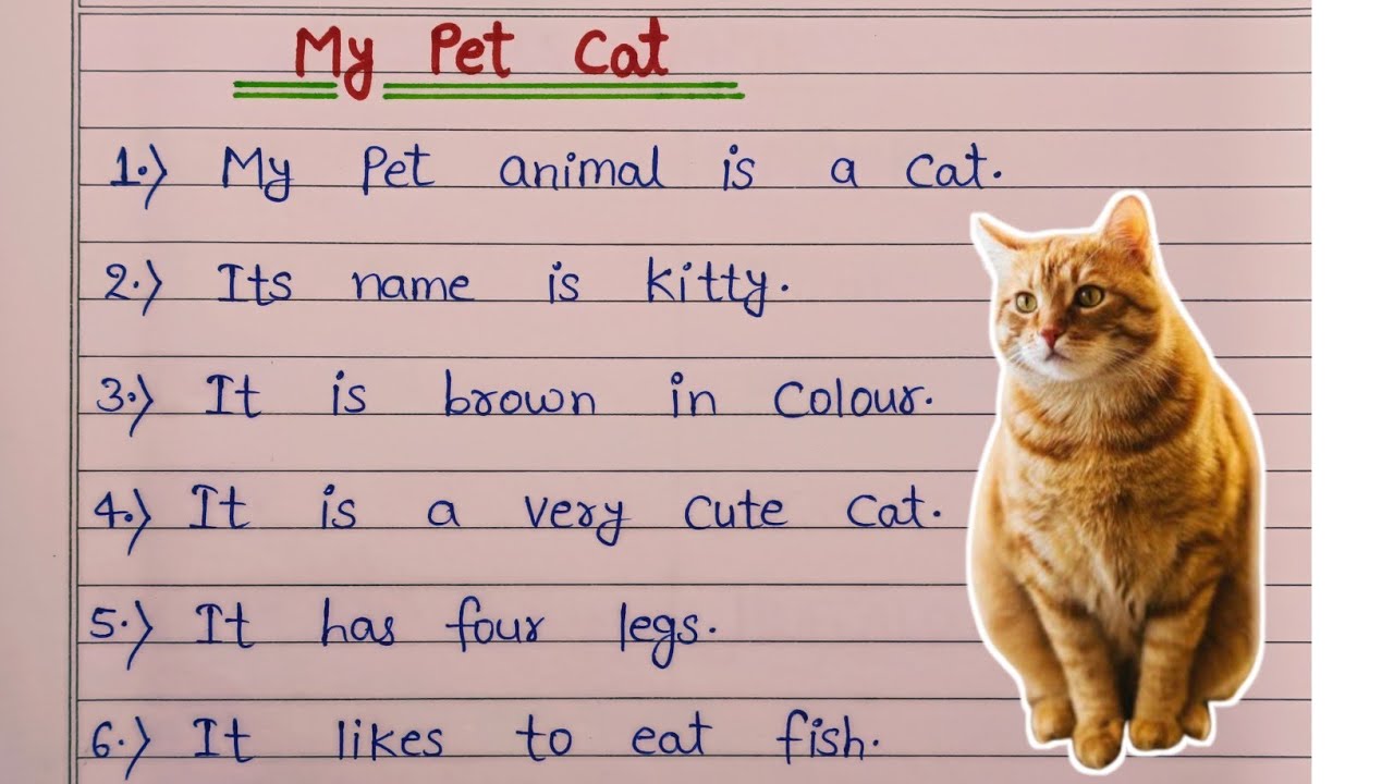 10 lines essay on My Pet Cat in English | 10 lines on Cat in english essay writing | 10 lines on ...