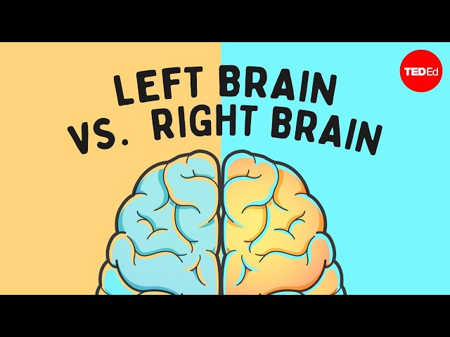 Human Right Brain Dominance