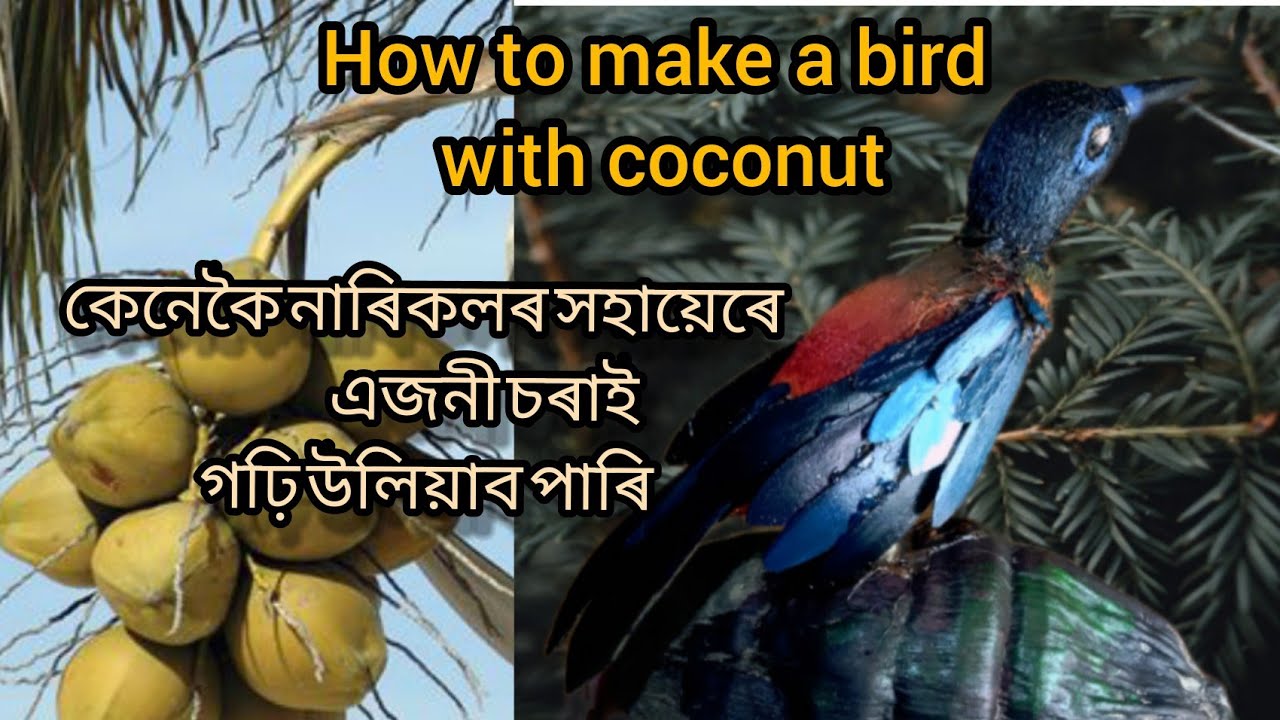 how to make a bird | | how to make a coconut bird | | how to make a ...