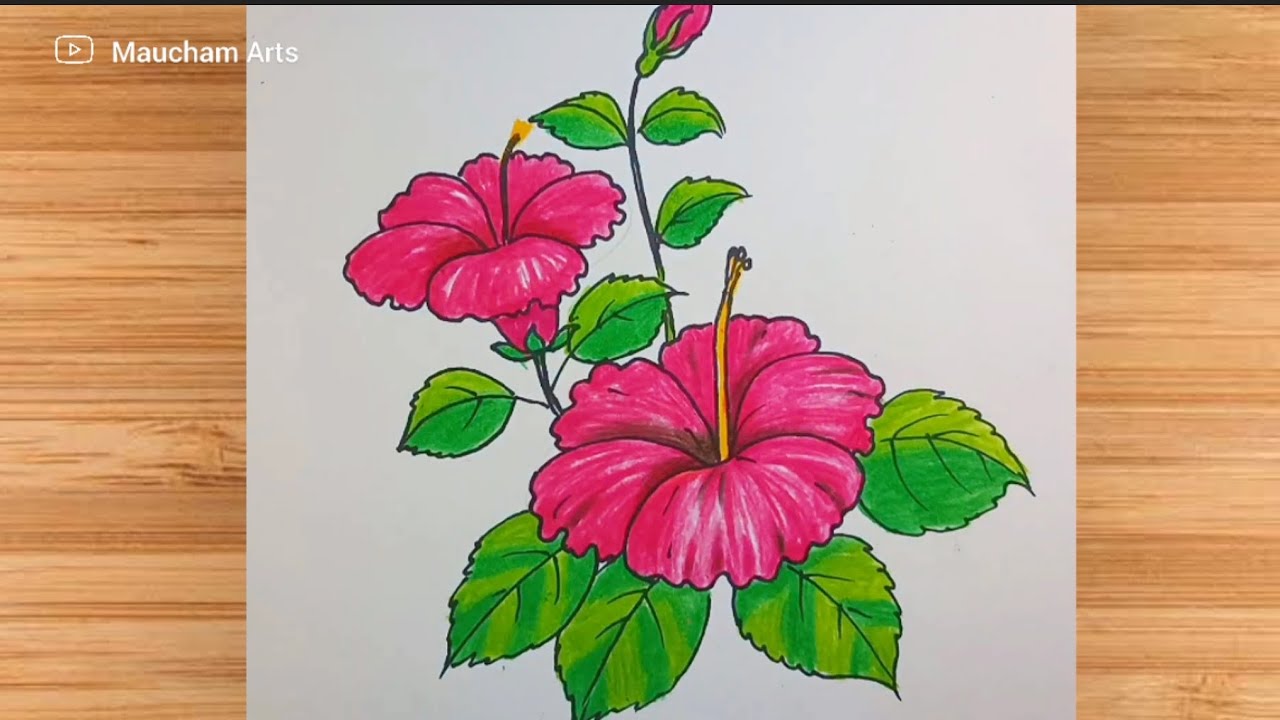 How to draw Hibiscus flower || Joba ful drawing || জবা ফুল অঁকা - YouTube