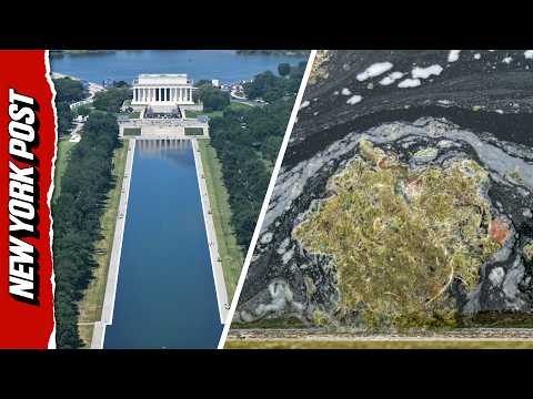 Is There Already Algae in the Newly Renovated Reflecting Pool?