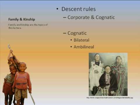 Family & Kinship Part II - YouTube