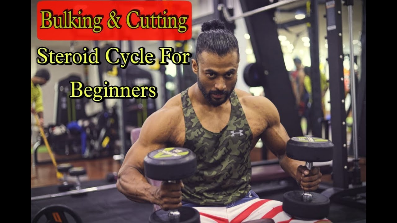 Bulking & Cutting Steroid Cycle For Beginners..... #bodybuilding # ...