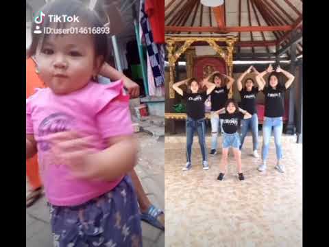 Bocil goyang tik tok