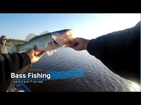 Bass Fishing Lake Yale During Bad Cold Front - YouTube