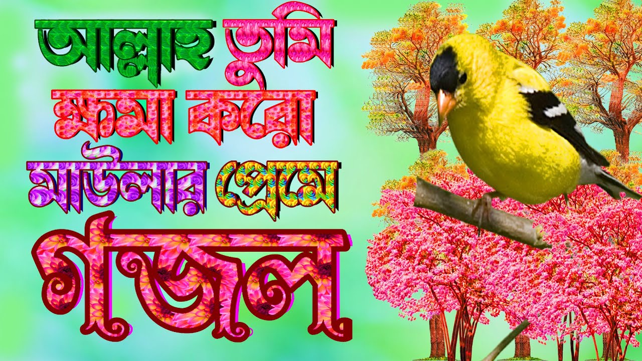 Very Heart Touching Gojol |সেরা মধুর কন্ঠে খুবই দুঃখের হৃদয়স্পর্শী ...