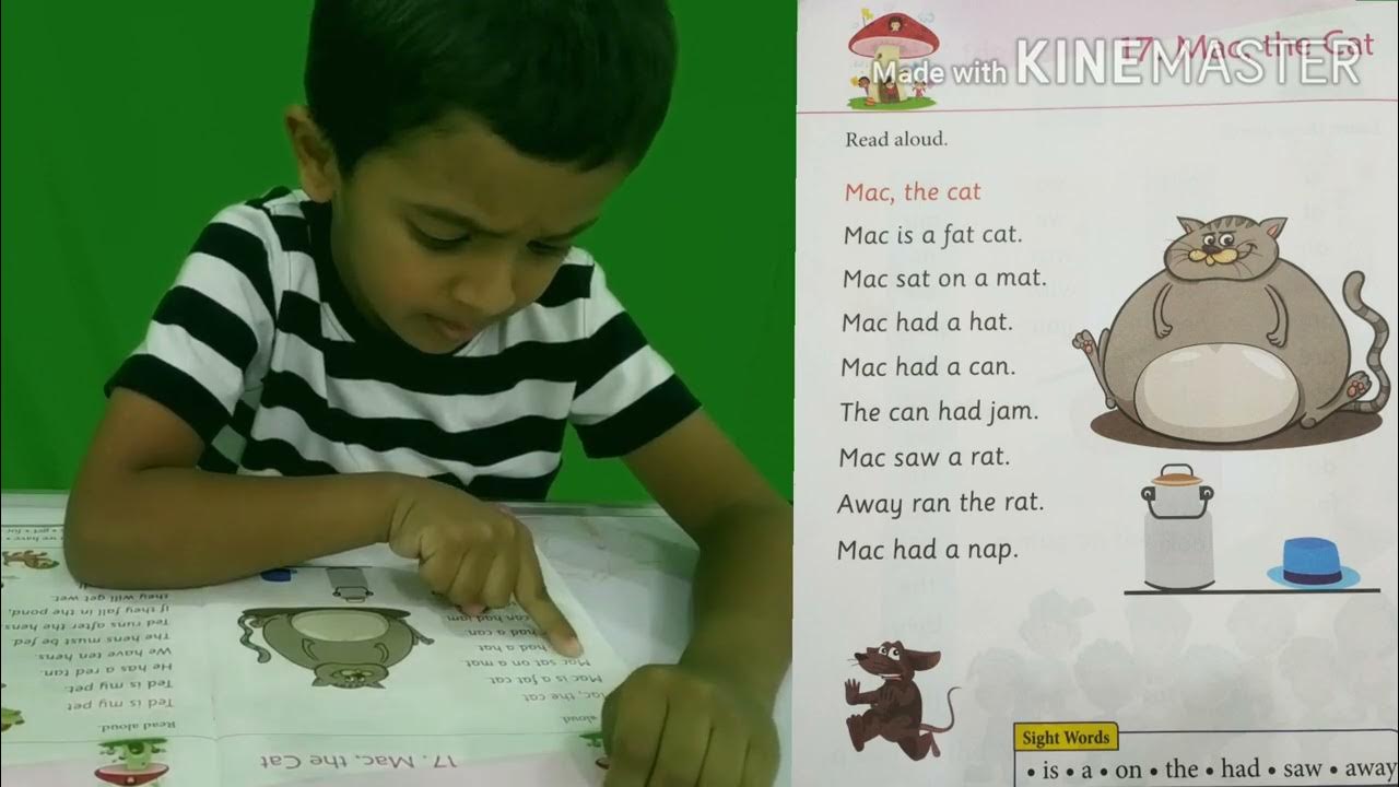 Phonics | English Story Reading | Mac the Cat 🐈 - YouTube