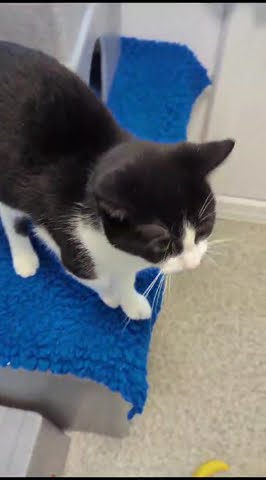 Uma *Now waiting to go to her new home* - YouTube
